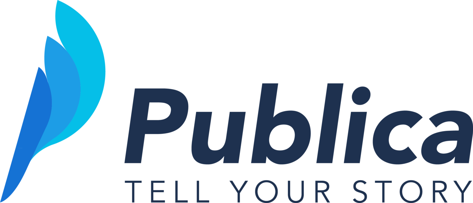 Publica Logo Publica The Connected TV Advertising Platform